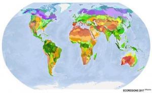 FOUNDATION EARTH, Rethinking society from the ground up! - Rewilding