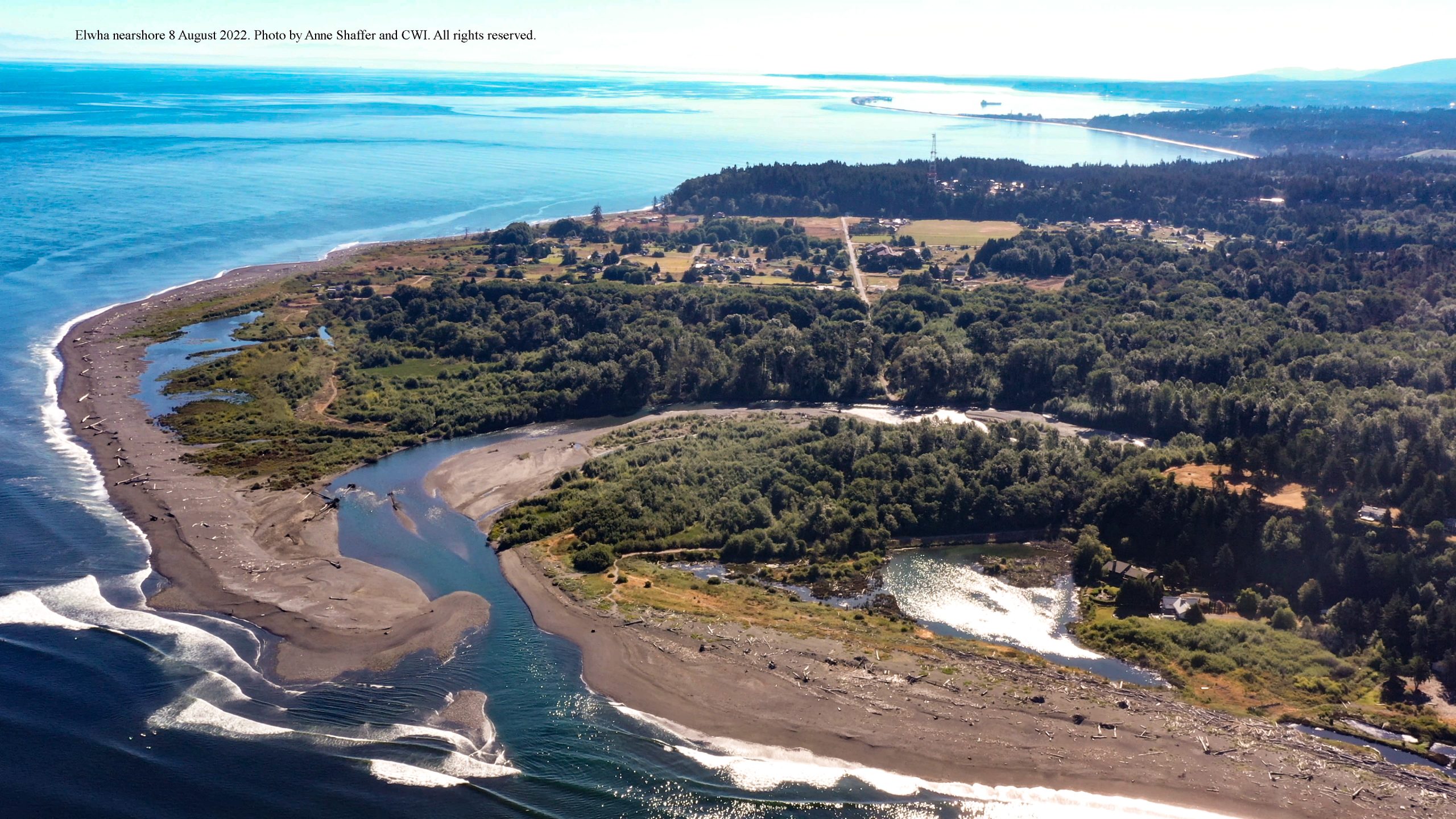 Elwha Nearshore Autumn 2022 Update - Rewilding