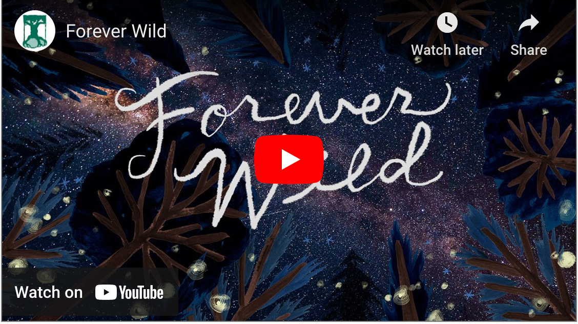 Short Film: "Forever Wild" - Rewilding