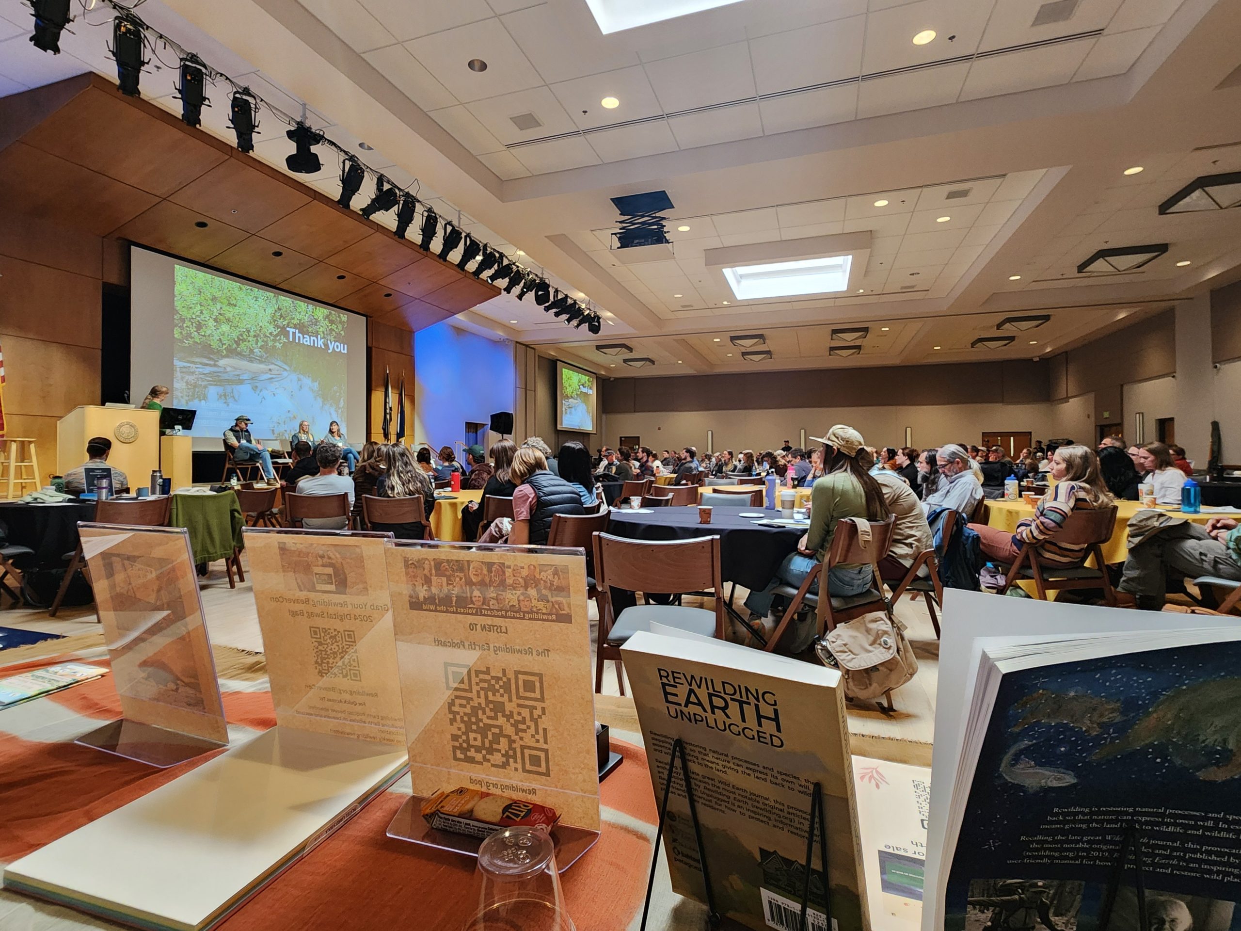 Beaver Fever: Hope Runs Wild at BeaverCON 2024 - Rewilding