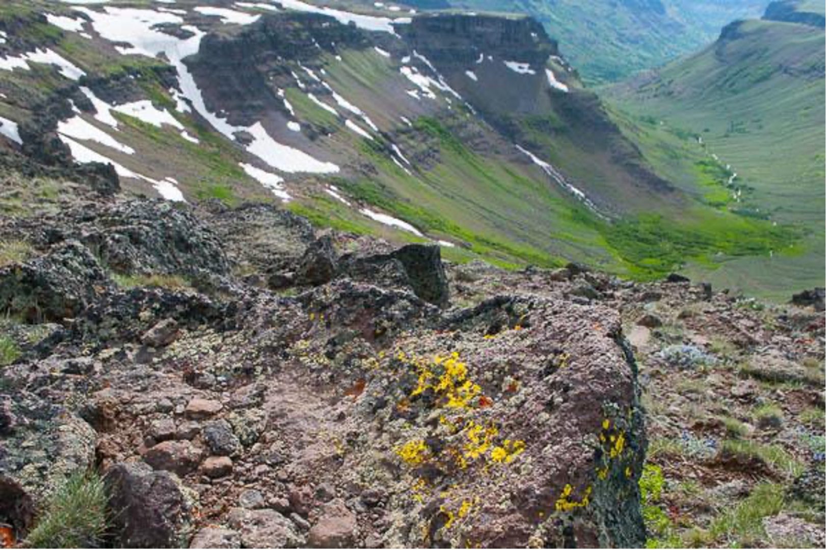 The Need For More Wilderness Preservation - Rewilding