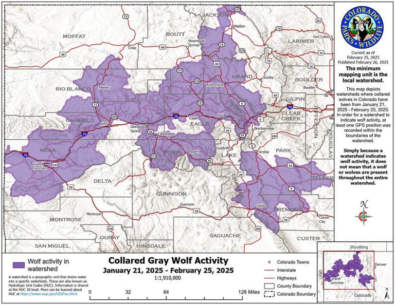 Rewilding Colorado: Wolves, Ranchers, and the Fight for Coexistence ...