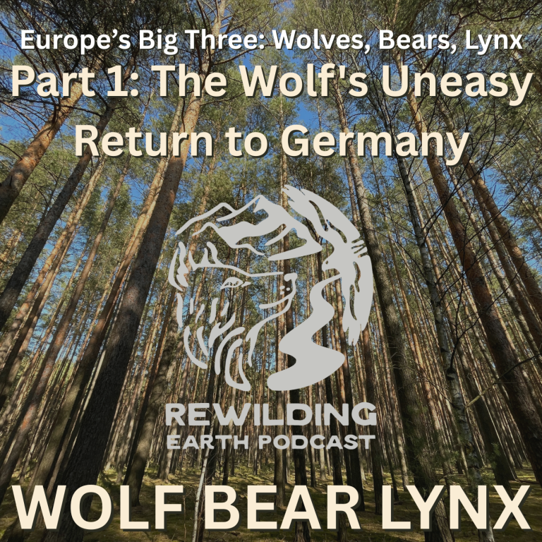 Rewilding Earth Welcome - Home of the Rewilding Institute